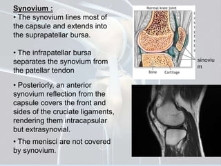 Radiological anatomy of Knee joint.pptx