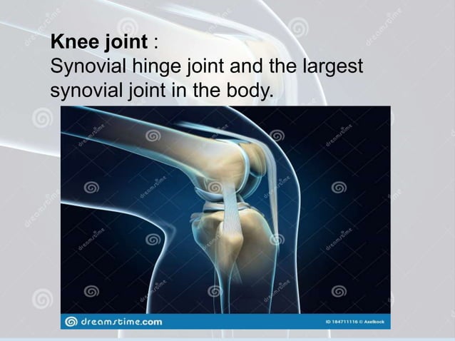 Radiological anatomy of Knee joint.pptx