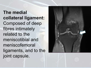 Radiological anatomy of Knee joint.pptx