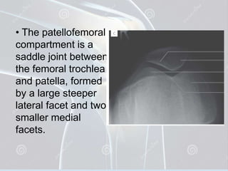 Radiological anatomy of Knee joint.pptx