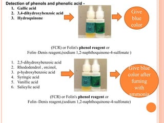 Phenol Liquid Color