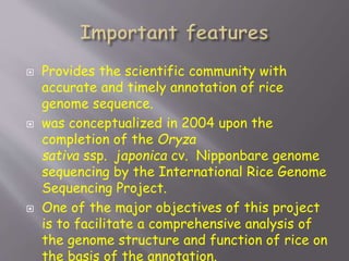 Rap db(rice annotation project data base) | PPT