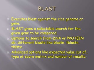 Rap db(rice annotation project data base) | PPTX