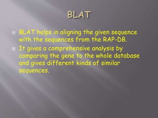 Rap db(rice annotation project data base) | PPT