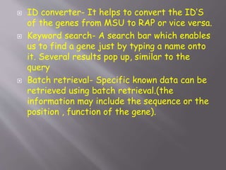 Rap db(rice annotation project data base) | PPT