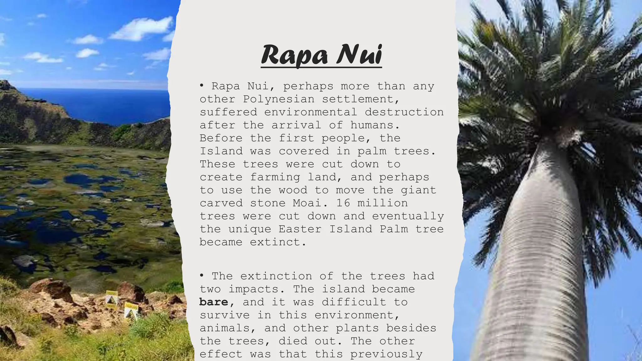 Rapa Nui/Easter Island Powerpoint and exercises.pptx