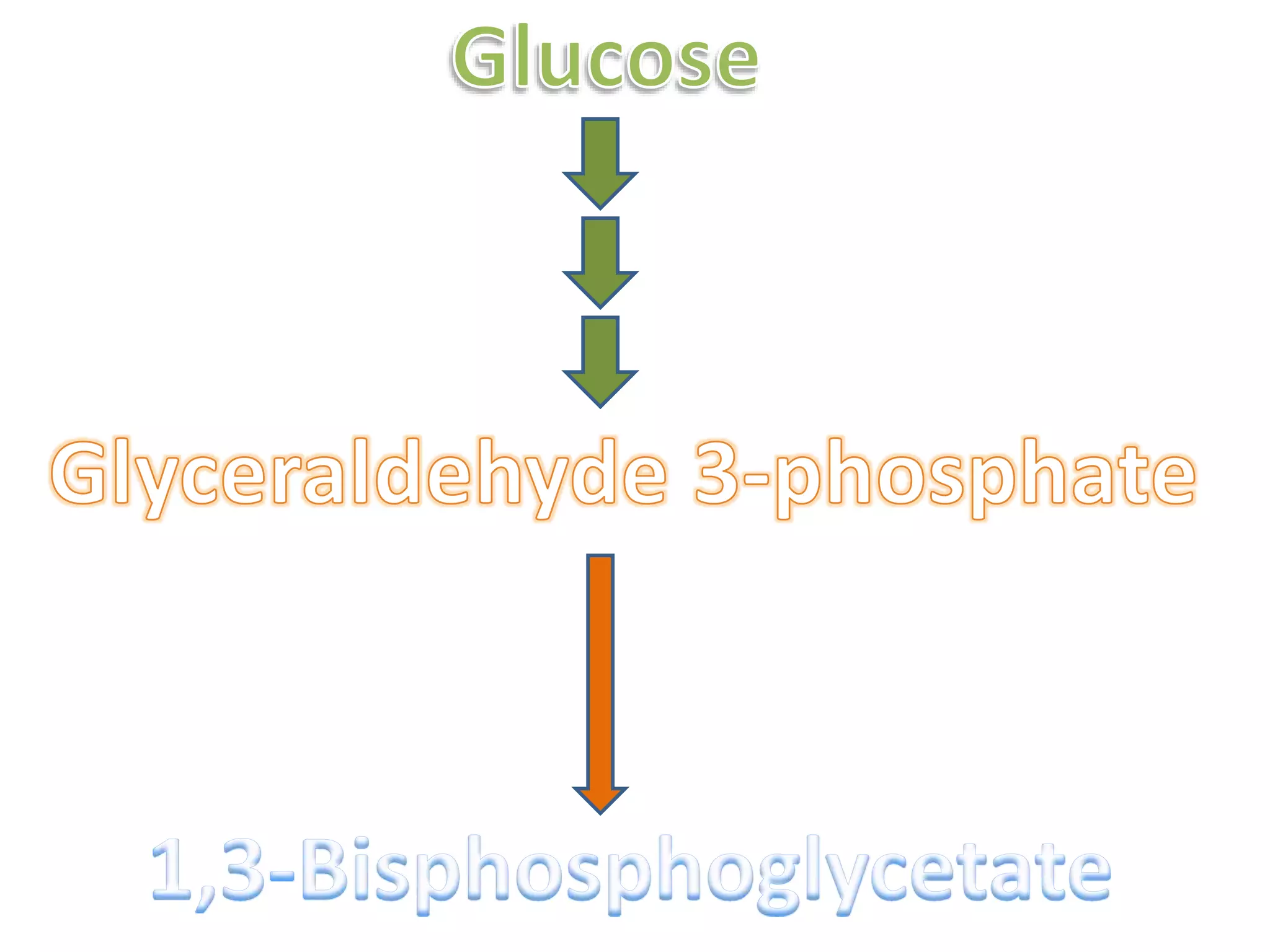 Rapaport leubering cycle | PPTX