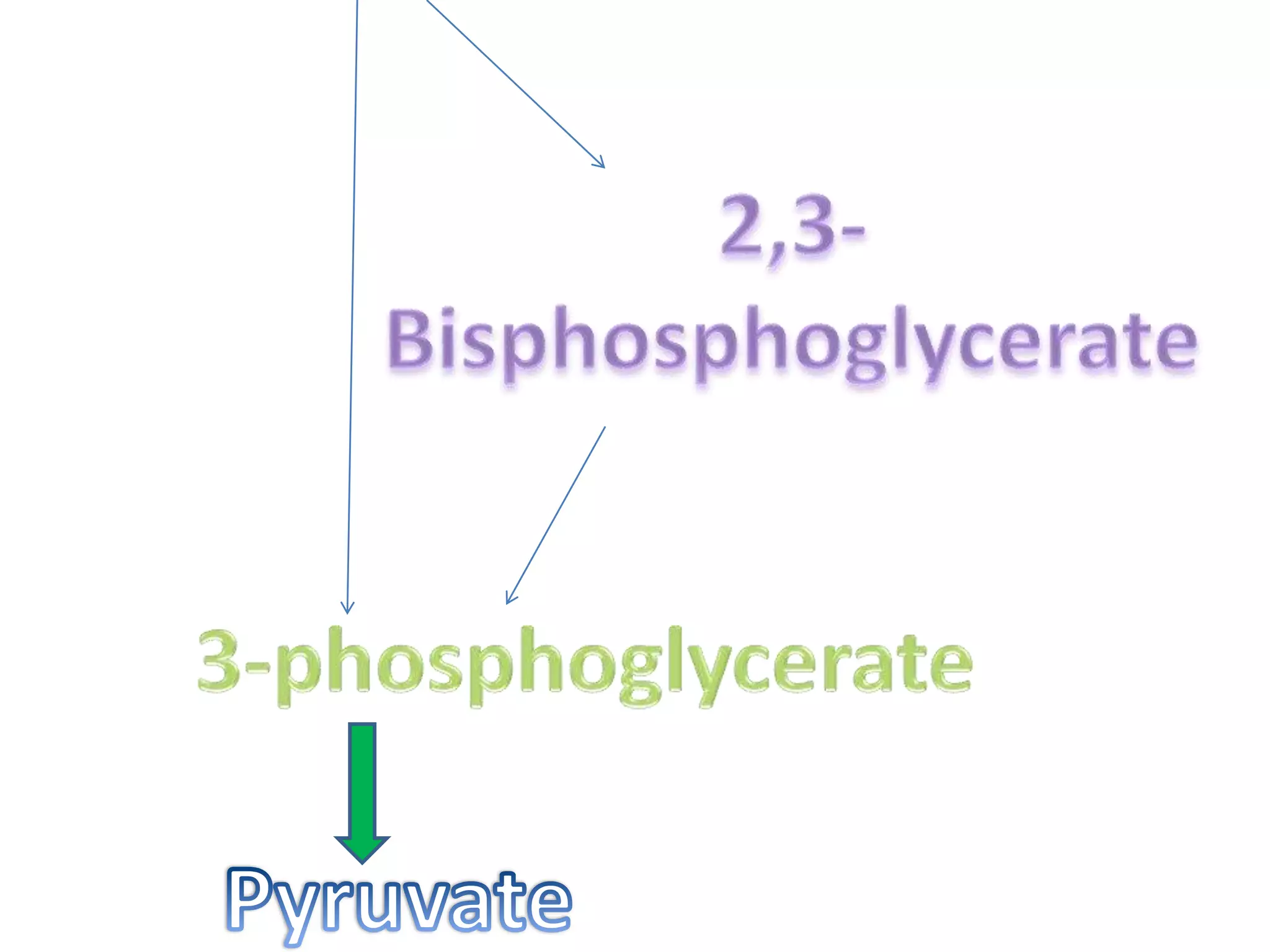 Rapaport leubering cycle | PPTX