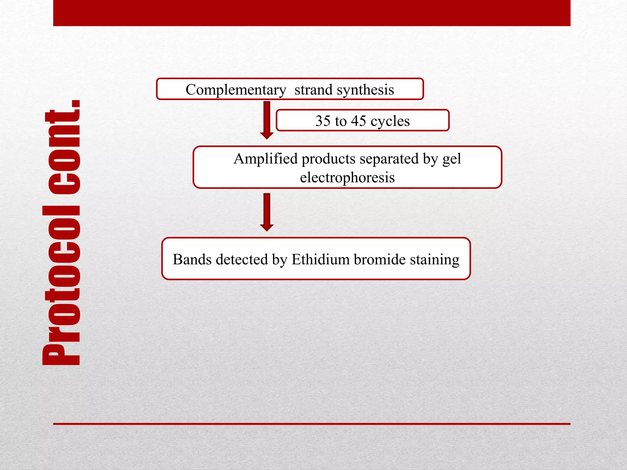 Random Amplified polymorphic DNA. RAPD | PPTX