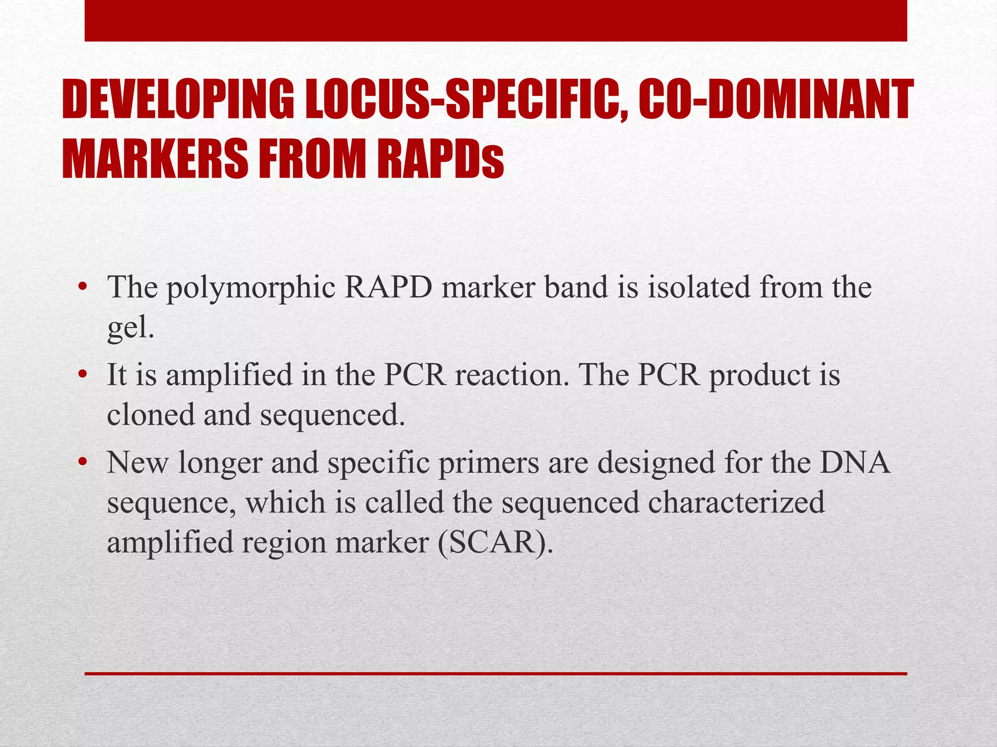 Random Amplified polymorphic DNA. RAPD | PPTX