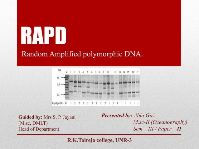 Random Amplified polymorphic DNA. RAPD | PPTX
