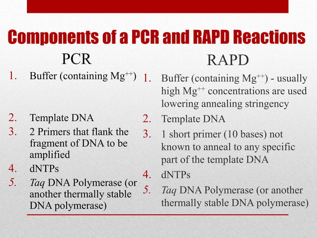 Random Amplified polymorphic DNA. RAPD | PPTX