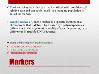 Random Amplified polymorphic DNA. RAPD | PPTX
