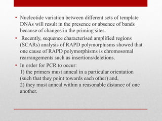 Random Amplified polymorphic DNA. RAPD | PPTX