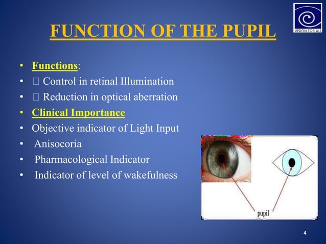 Rapd | PPTX | Eye and Vision Conditions | Diseases and Conditions