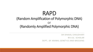 RAPD | PDF