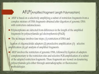 RAPD, AFLP AND RFLP ANALYSIS | PPTX | Genetics | Science