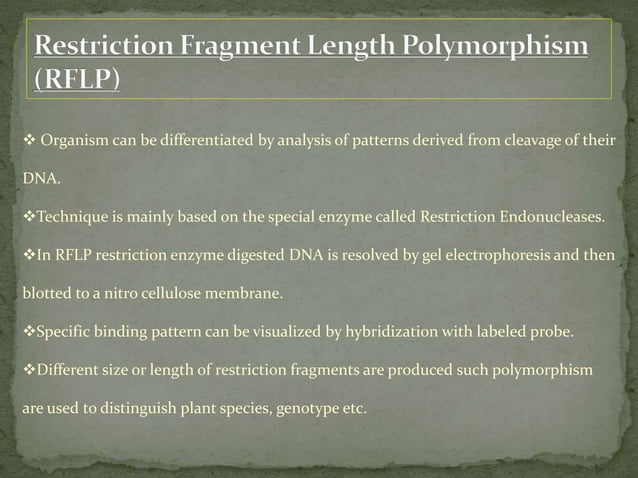 RAPD, AFLP AND RFLP ANALYSIS | PPTX | Genetics | Science