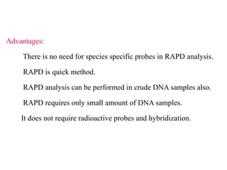 Rapd and rflp | PPTX