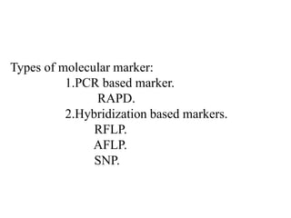 Rapd and rflp | PPTX