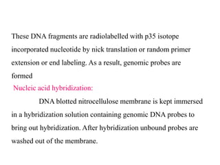 Rapd and rflp | PPTX