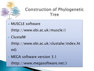 RAPD PCR for probiotic strain typing | PPT