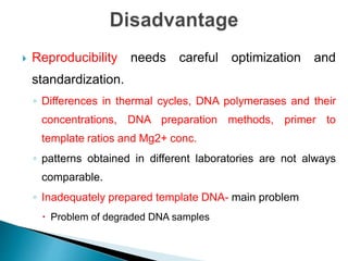 RAPD PCR for probiotic strain typing | PPT