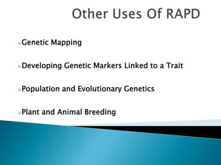 RAPD PCR for probiotic strain typing | PPT