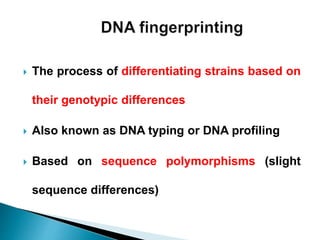 RAPD PCR for probiotic strain typing | PPT