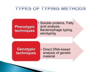 RAPD PCR for probiotic strain typing | PPT