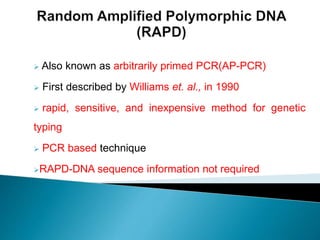 RAPD PCR for probiotic strain typing | PPT