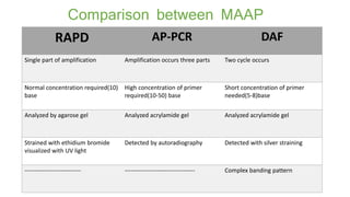 Rapd,pcr,aflp presentation | PPT