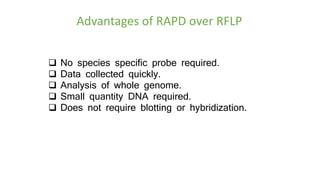 Rapd,pcr,aflp presentation | PPT