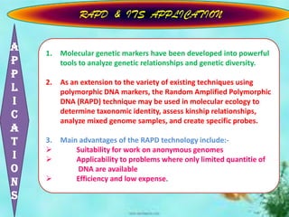 Rapd ppt | PPTX