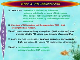 Rapd ppt | PPTX