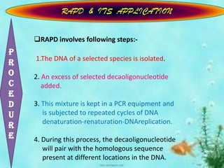 Rapd ppt | PPTX