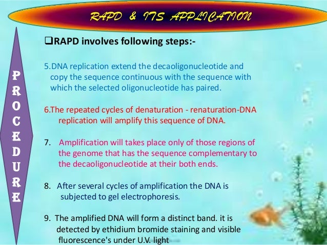 Rapd ppt