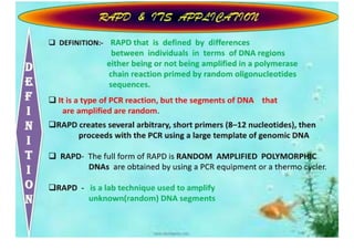 Rapd Ppt | PPT
