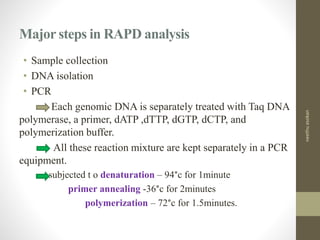 RAPD, RFLP | PPTX