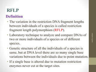RAPD, RFLP | PPTX