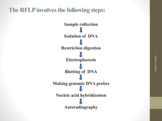 RAPD, RFLP | PPTX