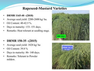 RAPESEED in the agriculture ecosystem .pptx