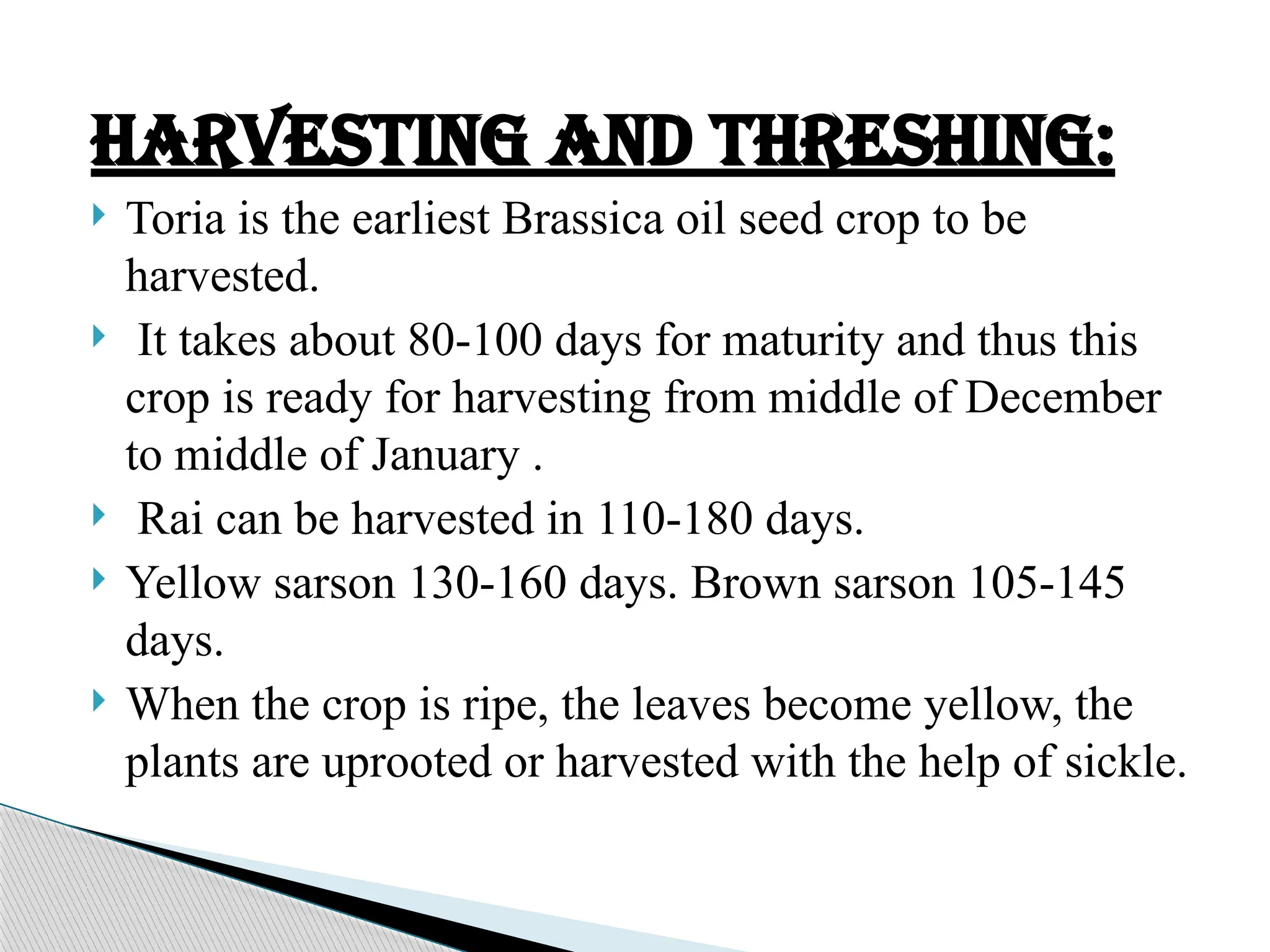 RAPESEED_AND_MUSTARD PRODUCTION TECHNOLOGY.pptx