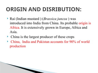 RAPESEED_AND_MUSTARD PRODUCTION TECHNOLOGY.pptx