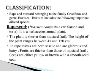 RAPESEED_AND_MUSTARD PRODUCTION TECHNOLOGY.pptx