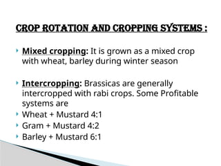 RAPESEED_AND_MUSTARD PRODUCTION TECHNOLOGY.pptx