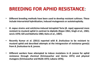 APHID RESISTANCE BREEDING IN RAPESEED AND MUSTARD | PPTX | Agriculture ...