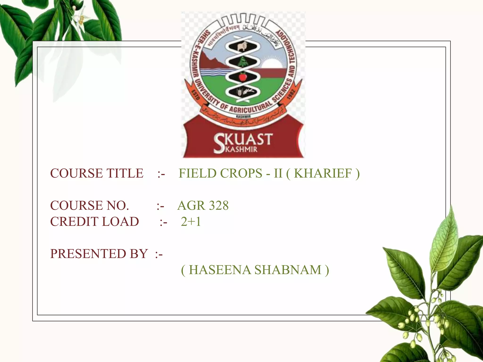 Rapeseed & Mustard ppt by Haseena Shabnam | PPTX