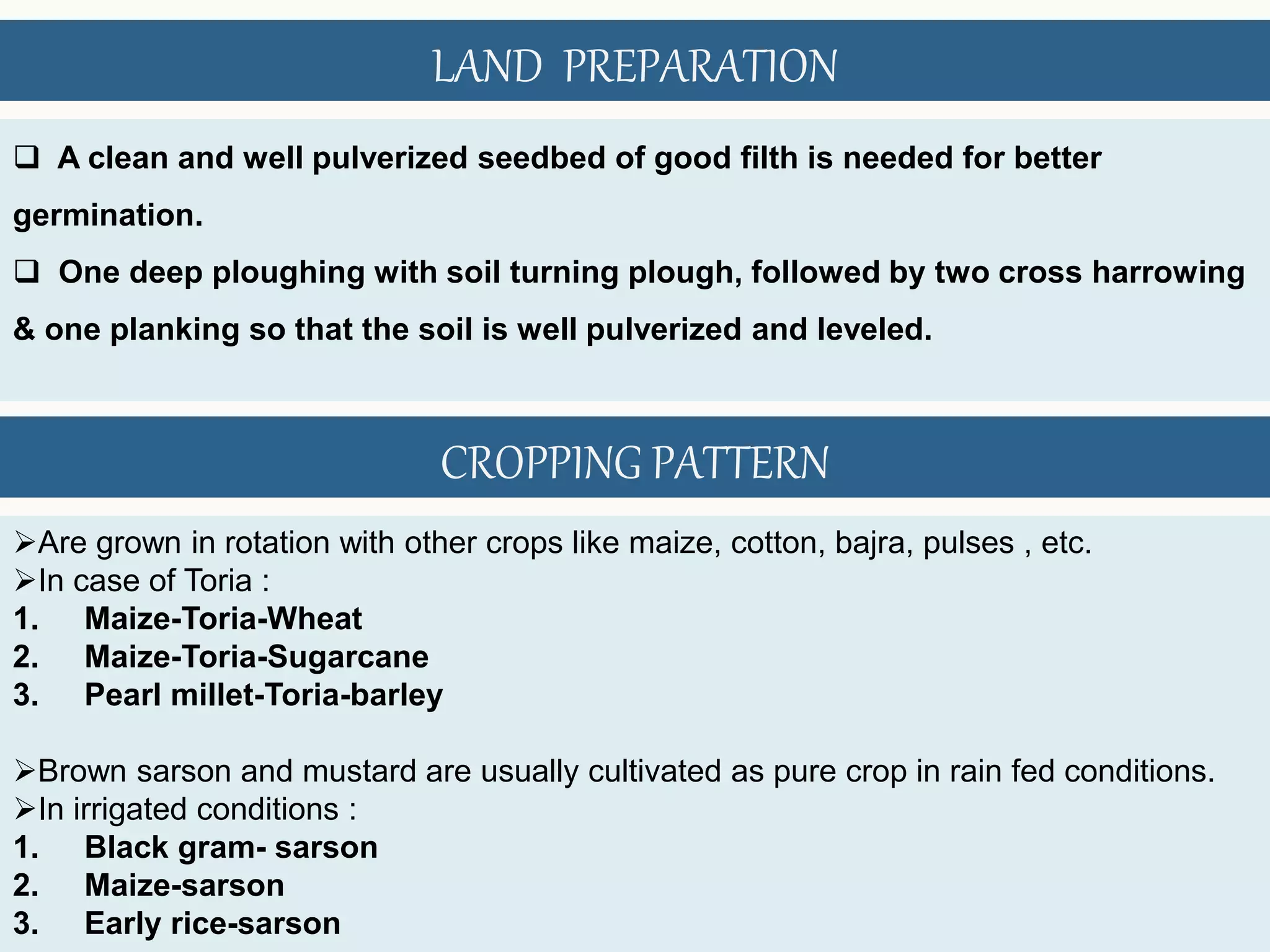 Rapeseed & Mustard ppt by Haseena Shabnam | PPTX