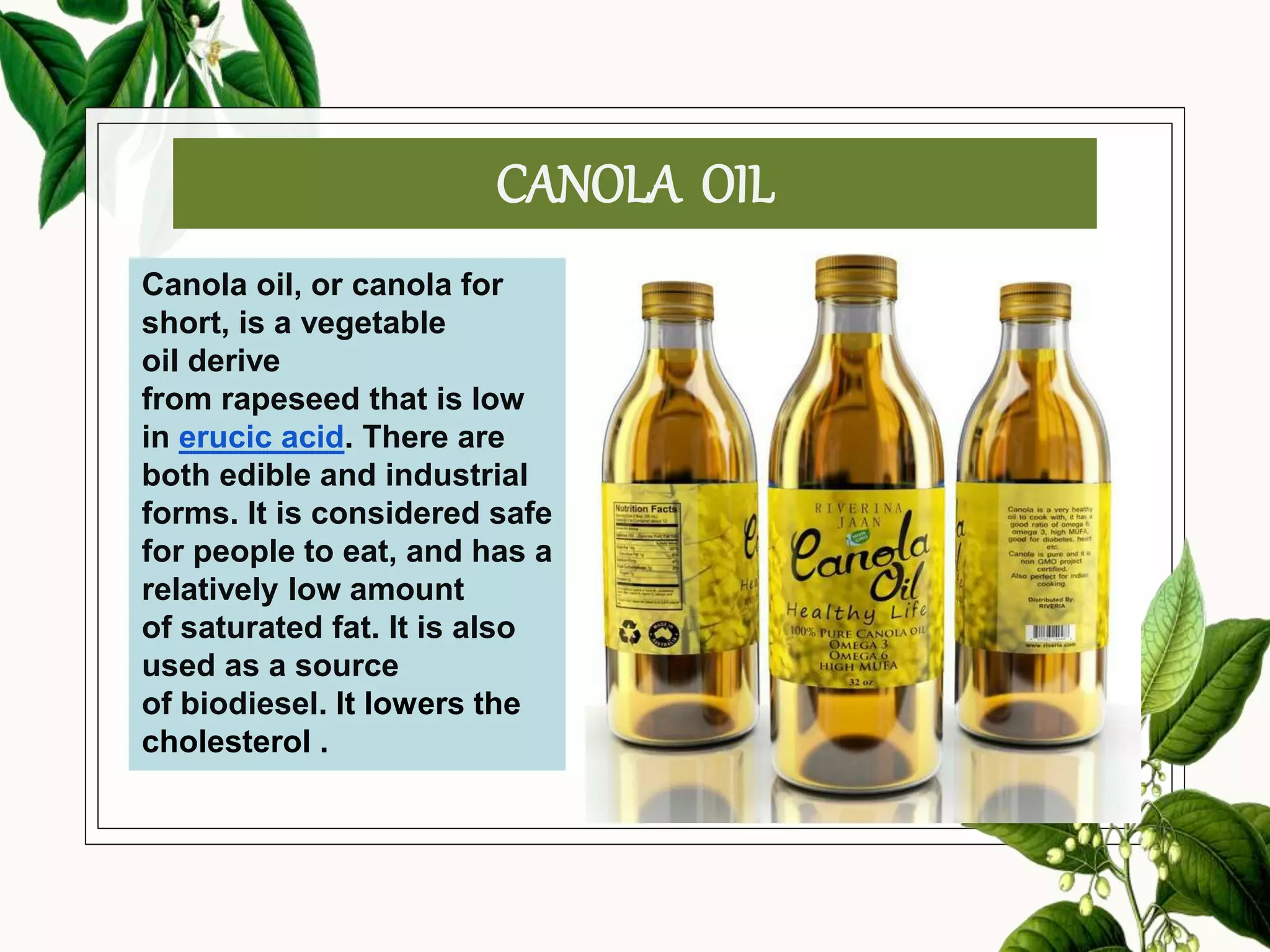 Rapeseed & Mustard ppt by Haseena Shabnam | PPTX